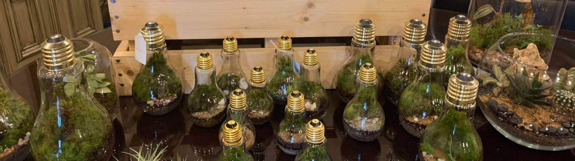 Products - My DIY Terrarium | Breathtaking Terrariums Shop